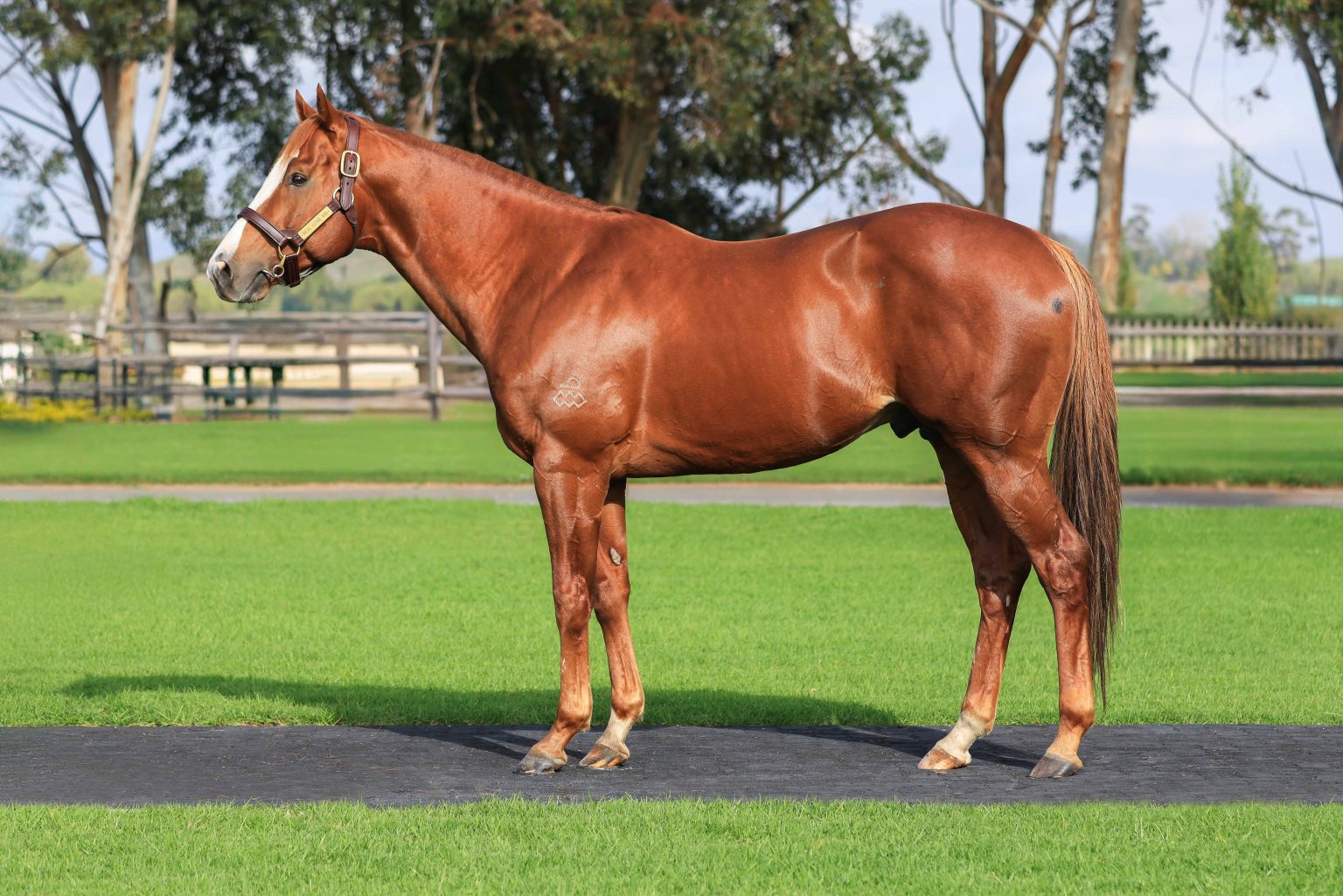 Real Gone Kid – Ridgemont